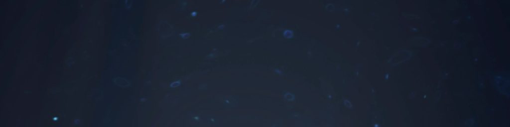 Small Blue Thing - S. C. Ransom